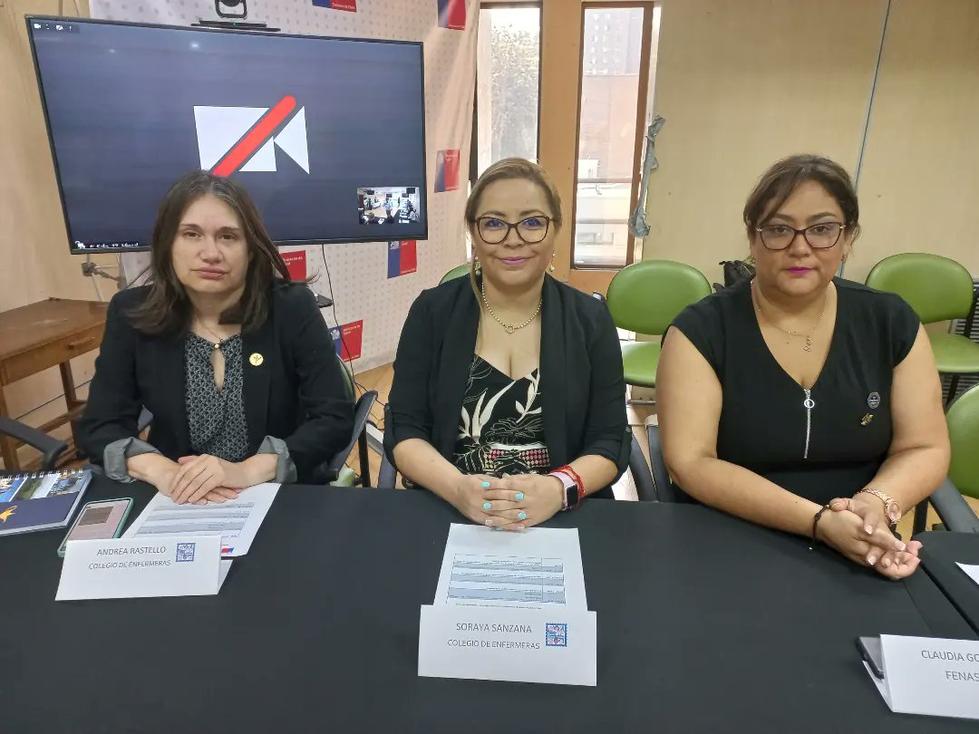 Colegio Enfermeras de Chile on Twitter: "Nuestro Directorio Nacional representado por Andrea ...