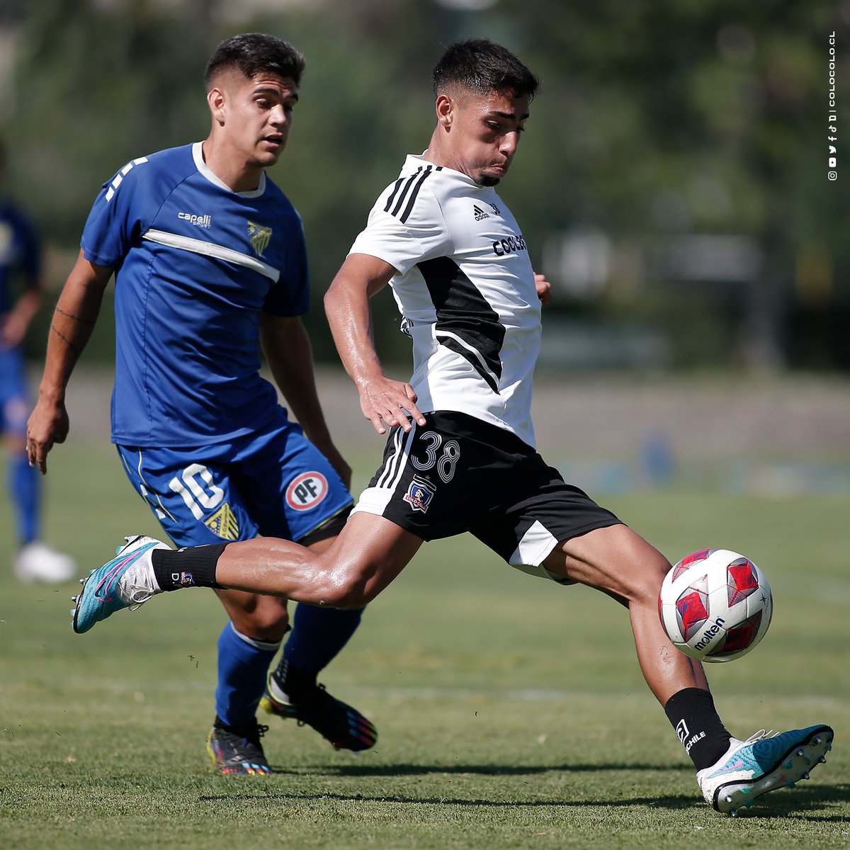 Colo-Colo on Twitter: "Esta mañana enfrentamos a @AC_Barnechea en un amistoso. Lo ganamos 5-1 ...