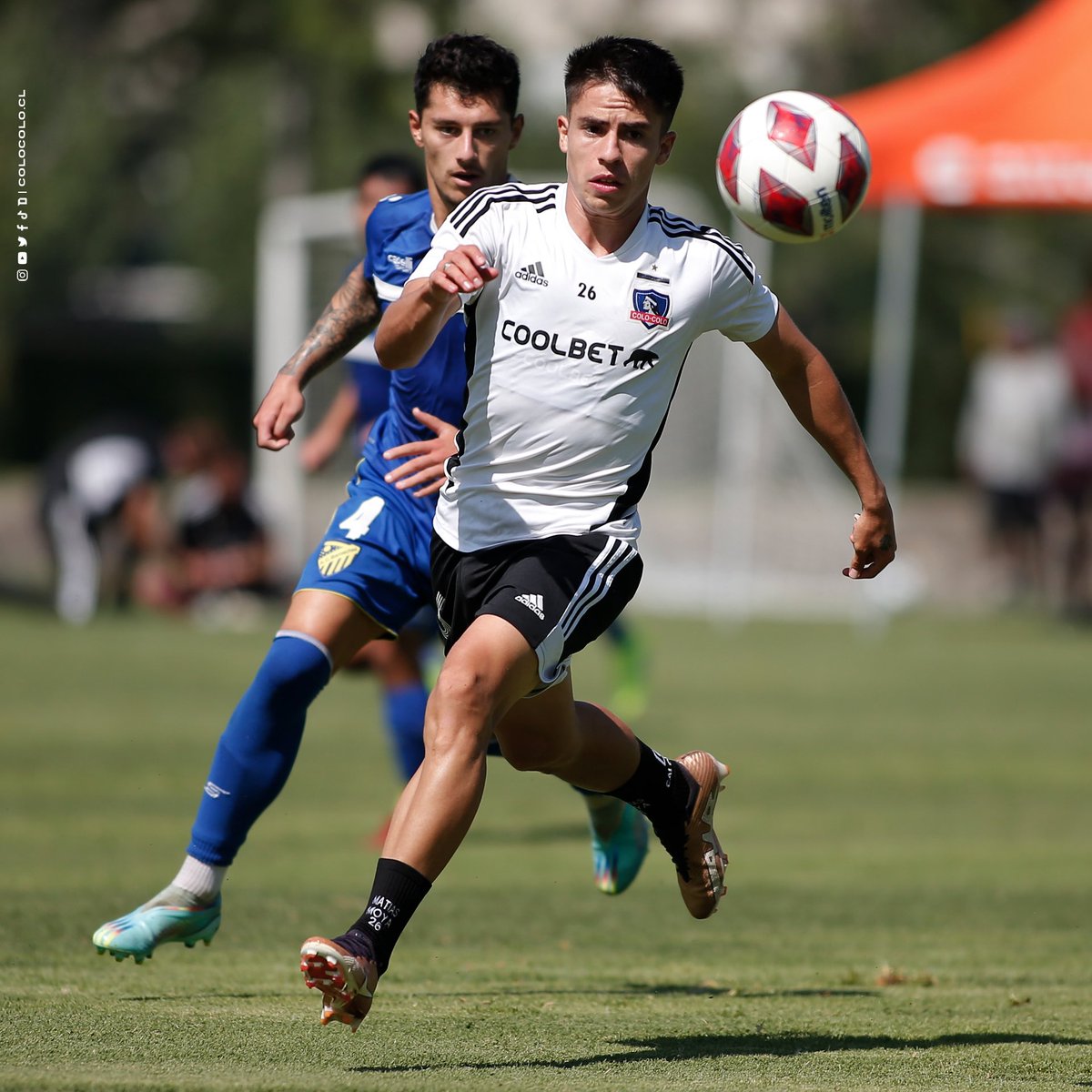 Colo-Colo on Twitter: "Esta mañana enfrentamos a @AC_Barnechea en un amistoso. Lo ganamos 5-1 ...