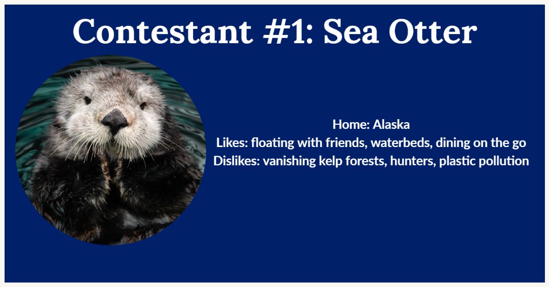 Keystone Species Sea Otter
