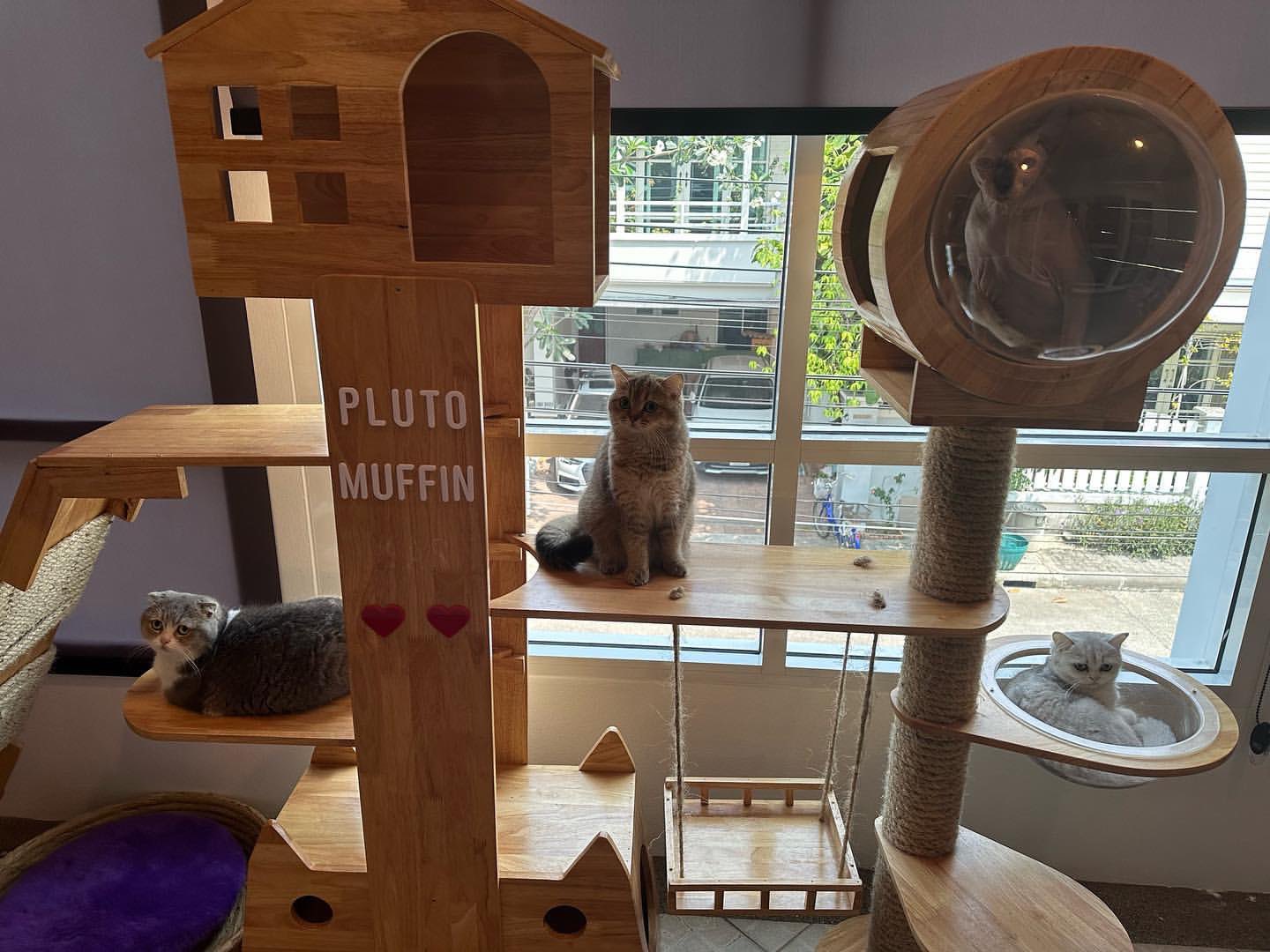 Kanom🎂🇹🇭ขนม (@Kanom07663413) / Twitter