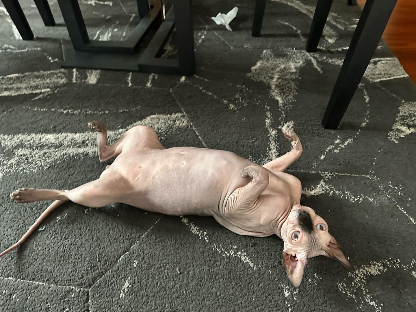 Kanom🎂🇹🇭ขนม (@Kanom07663413) / Twitter