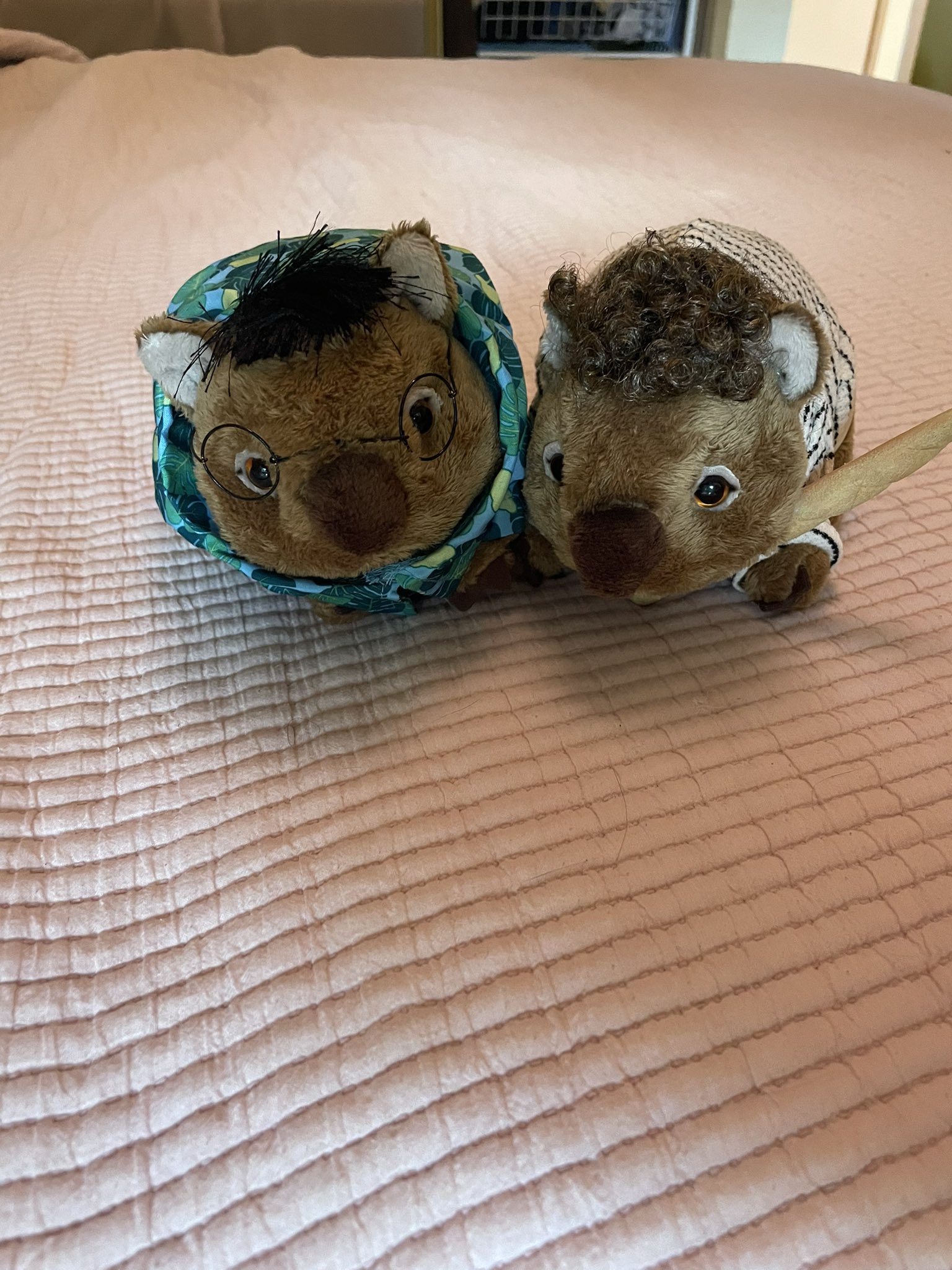 ambs 🧡 loves dan so much on Twitter: "thinking about the dan and phil wombat photoshoot i did ...