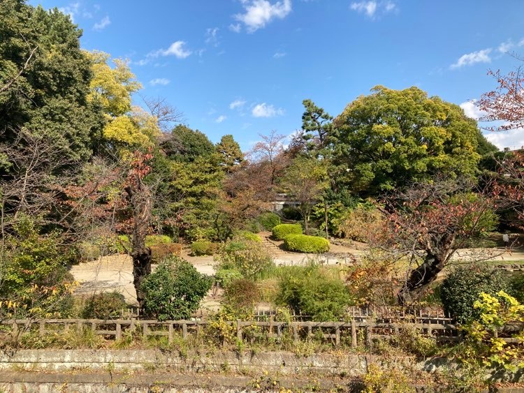 トビタ行政書士事務所 On Twitter 妙正寺川の対岸から見た、中野区松が丘の哲学堂公園です。妙正寺川の氾濫を防止する調整池が運動場として開放されていて、遊歩道もあります。こちら側から
