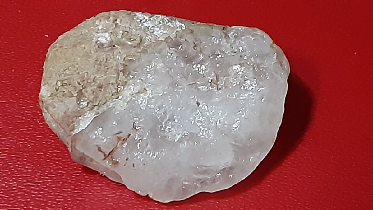 「庭で拾った石英。なかなかの透明度でちょっとウキウキw 」|冴吹稔＠「培養先輩」ファンタジア文庫より好評発売中！のイラスト