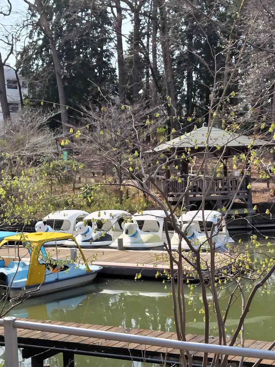 古書 西荻モンガ堂(@monga_book) - Twilog