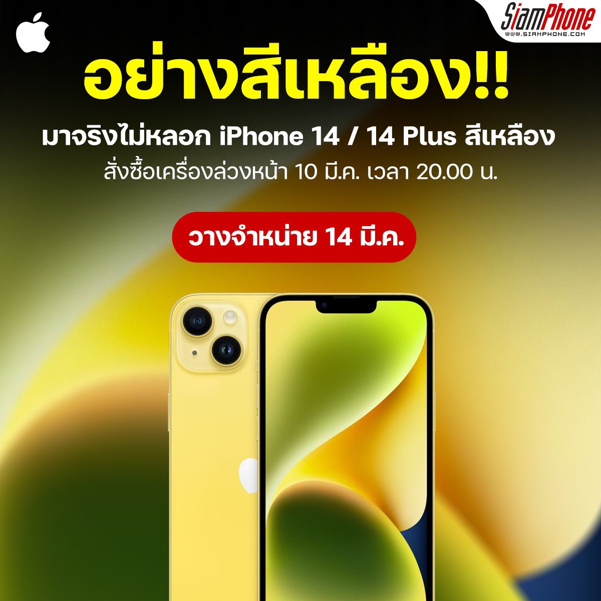 Siamphone on Twitter: "สีเหลือง 👉 Yellow 💛 มะม่วง 👉 Mango 🥭 มีด 👉 อีโต้ 🔪 #iPhone สีเหลือง💛 ไม่ ...