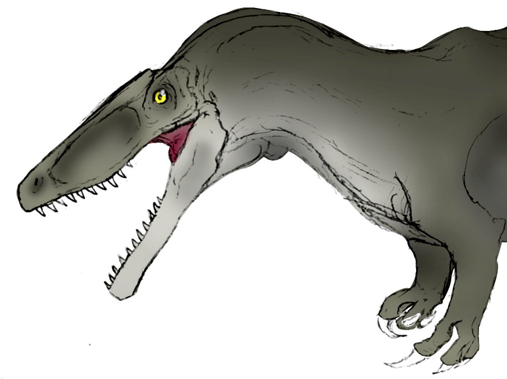 Basilo_tyrannusさんのイラストまとめ