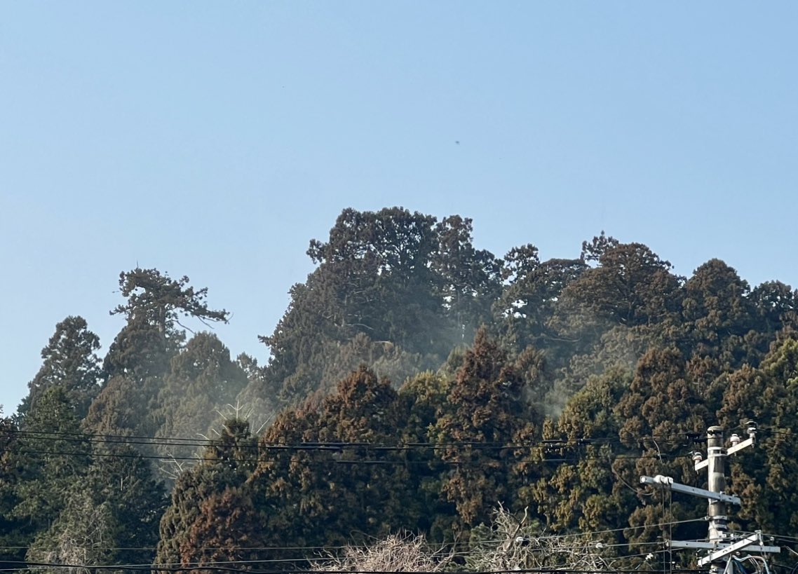 Ayako Kimishima(@kimi_aya_) - Twilog