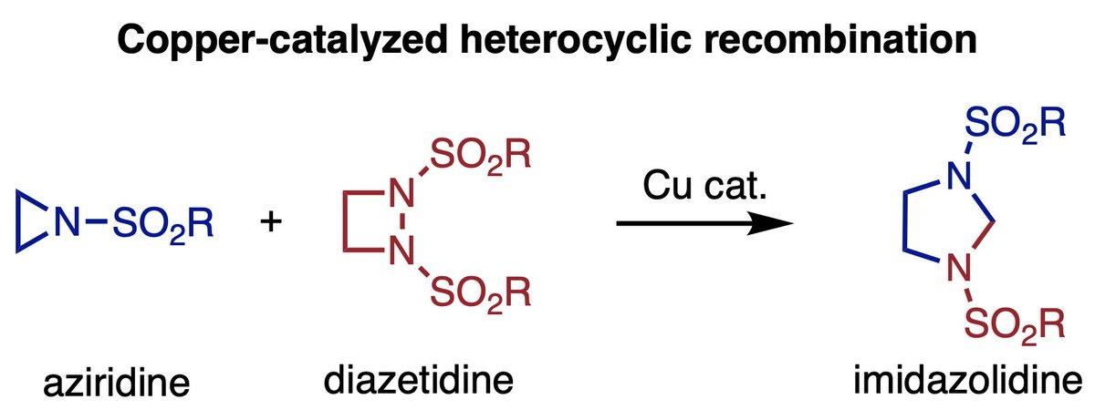 ChemRxiv on Twitter: "RT @LabMurakami: Daiki and Satoshi's work is available in @ChemRxiv ...