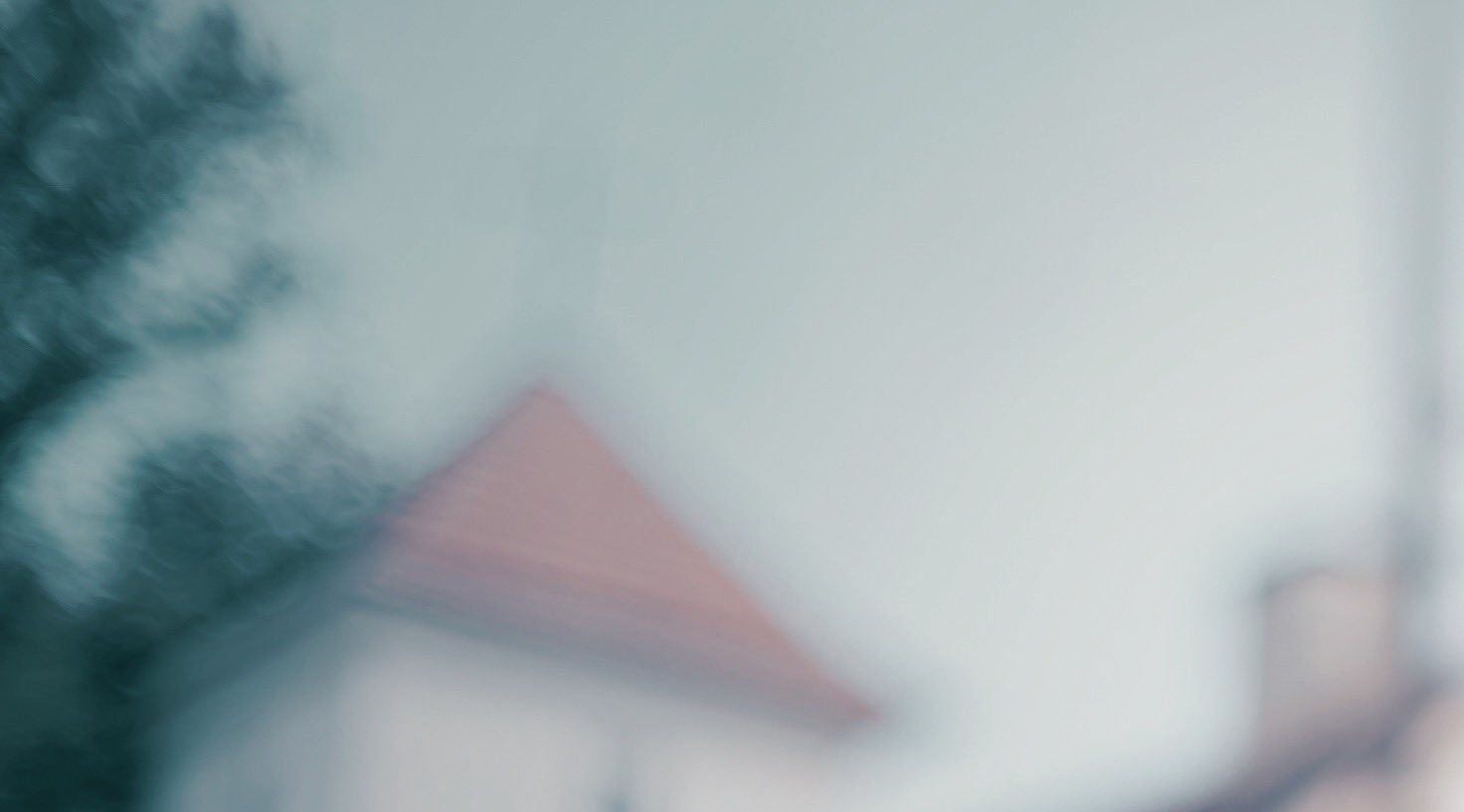 noco｜花の写真家 on Twitter: "「 classic flower world 」 https://t.co/L8eoNy9umU" / Twitter