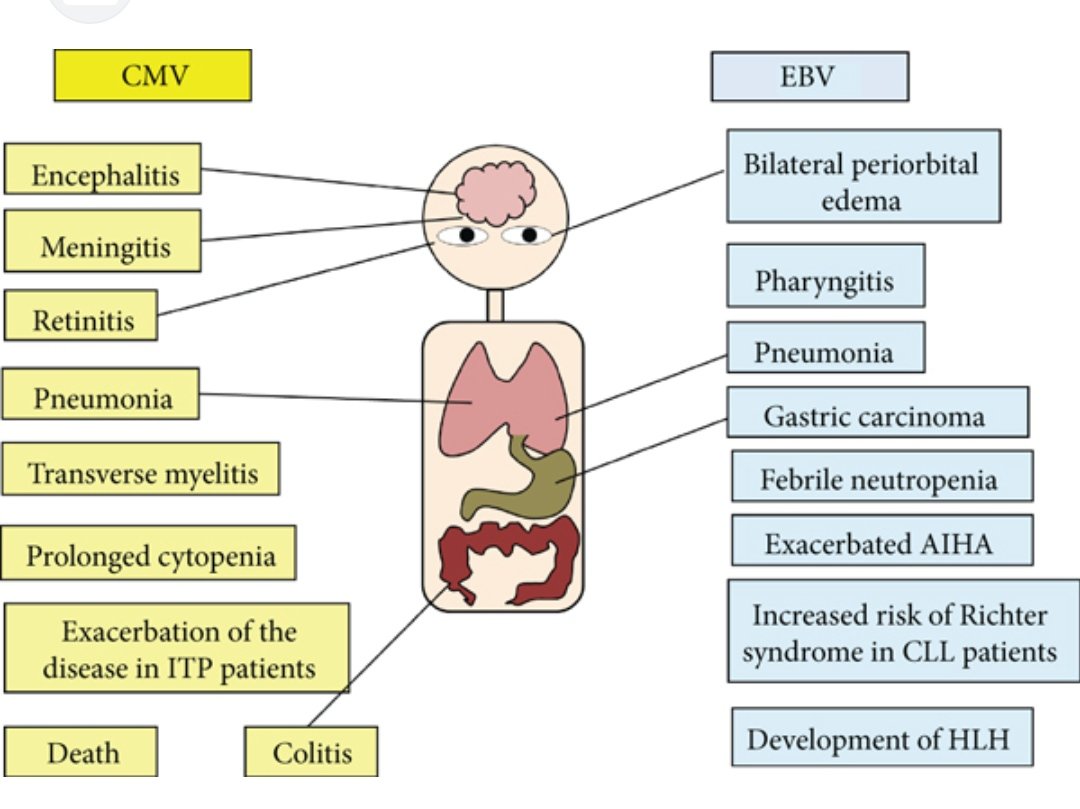 A 25-yr-old man IVDU 👉 one bout of Pneumocystis jiroveci pneumonia last ...