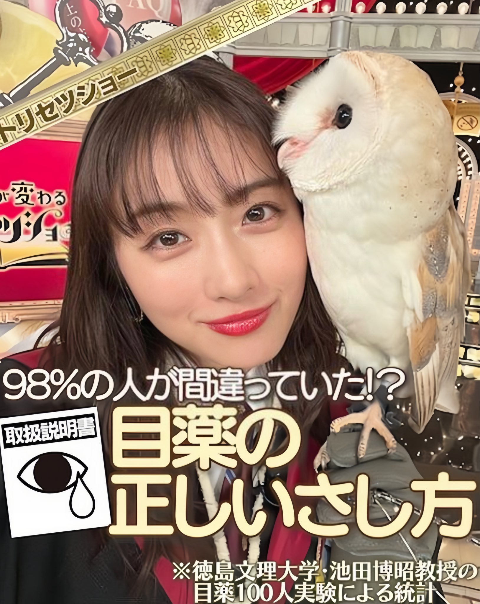 satomi today on Twitter: "230518 nhk_torisetsushow IG update with #IshiharaSatomi ☀️ 🔗 https://t ...