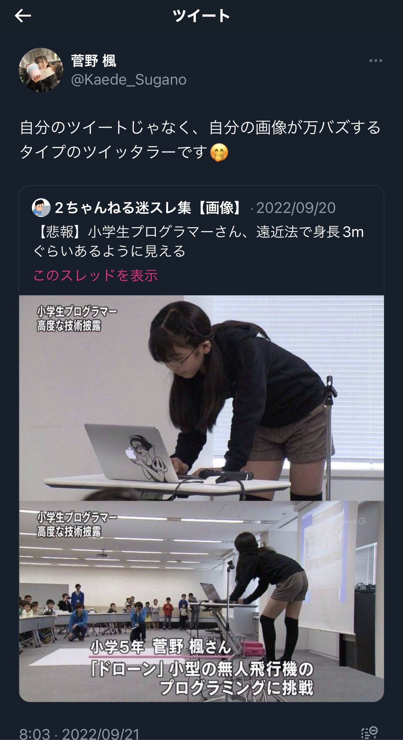 2ちゃんねる迷スレ集【画像】 On Twitter 【悲報】小学生プログラマーさん、遠近法で身長3mぐらいあるように見える
