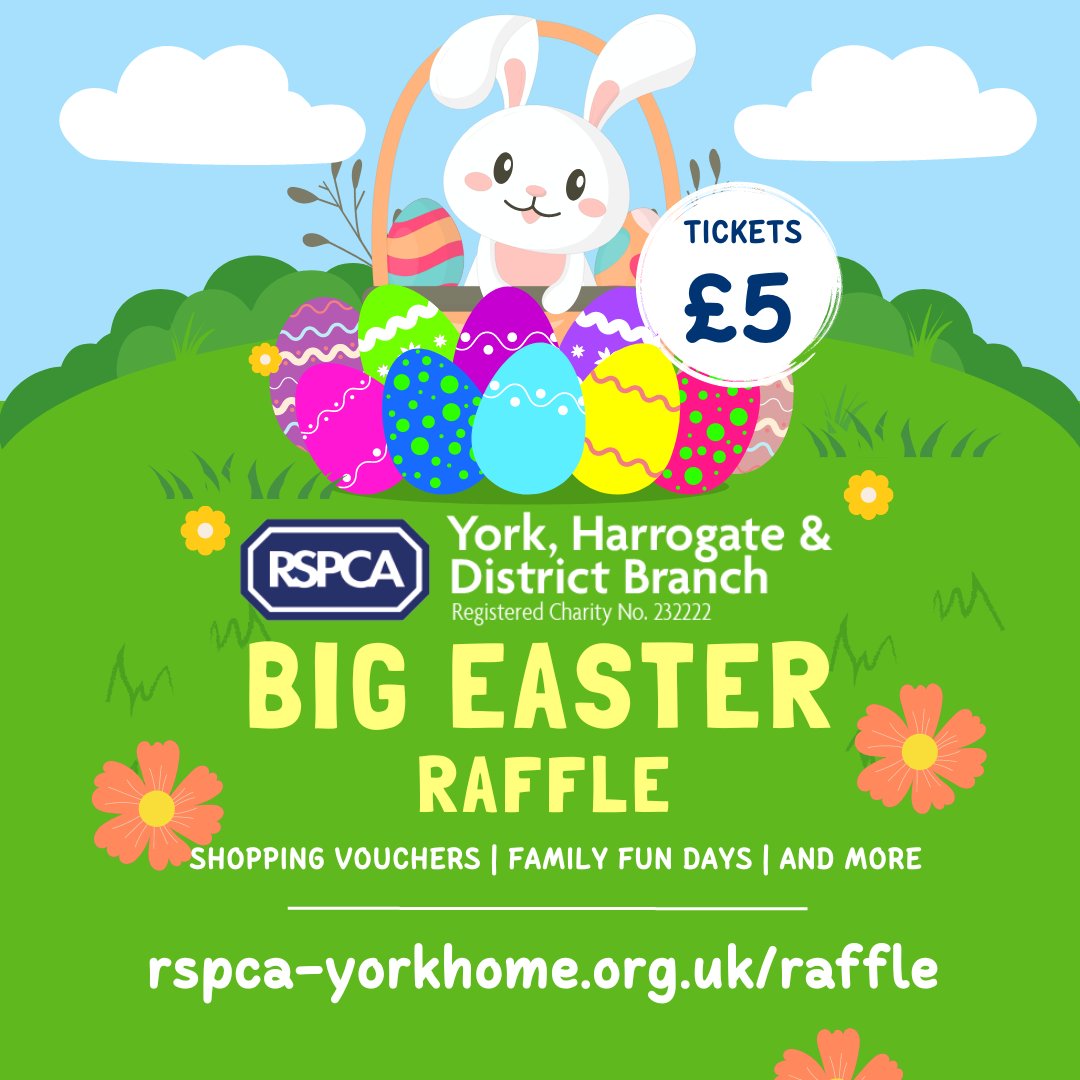 RSPCA York, Harrogate & District Branch - Home