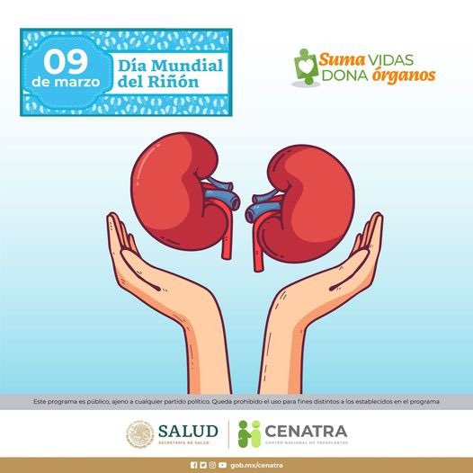 Salud México On Twitter Conmemoración El Díamundialdelriñón Te