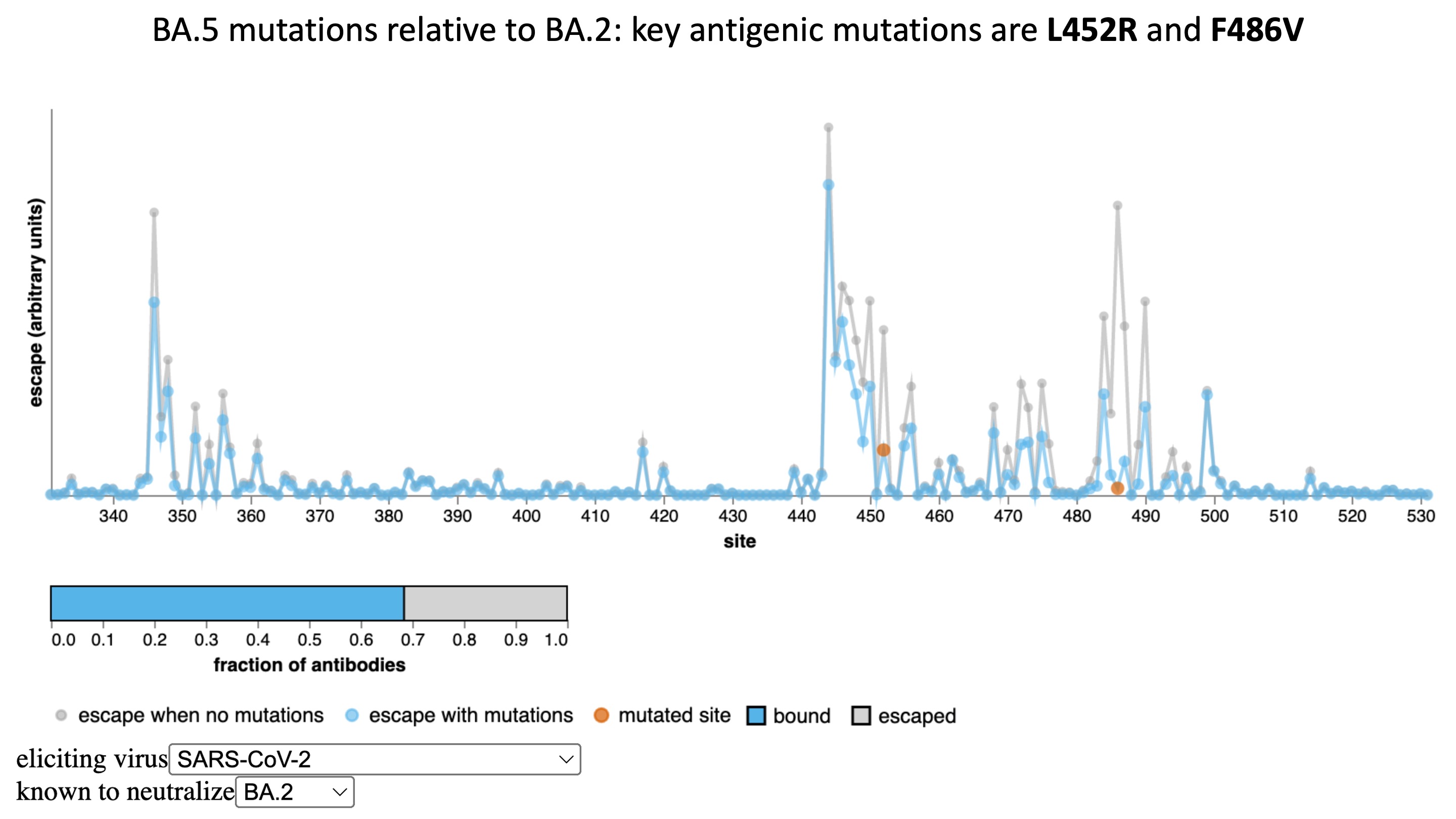 Bloom Lab on Twitter: "So what are the next escape mutations in XBB with respect to neutralizing ...