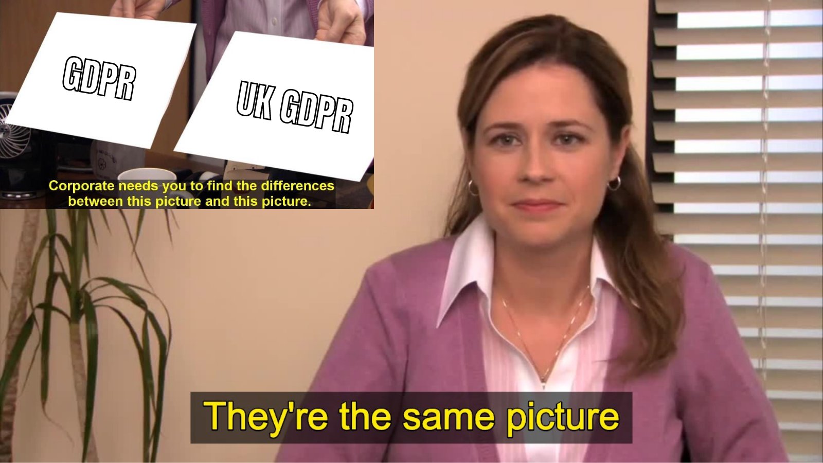 Vigilant Software (@VigSoftware) / Twitter