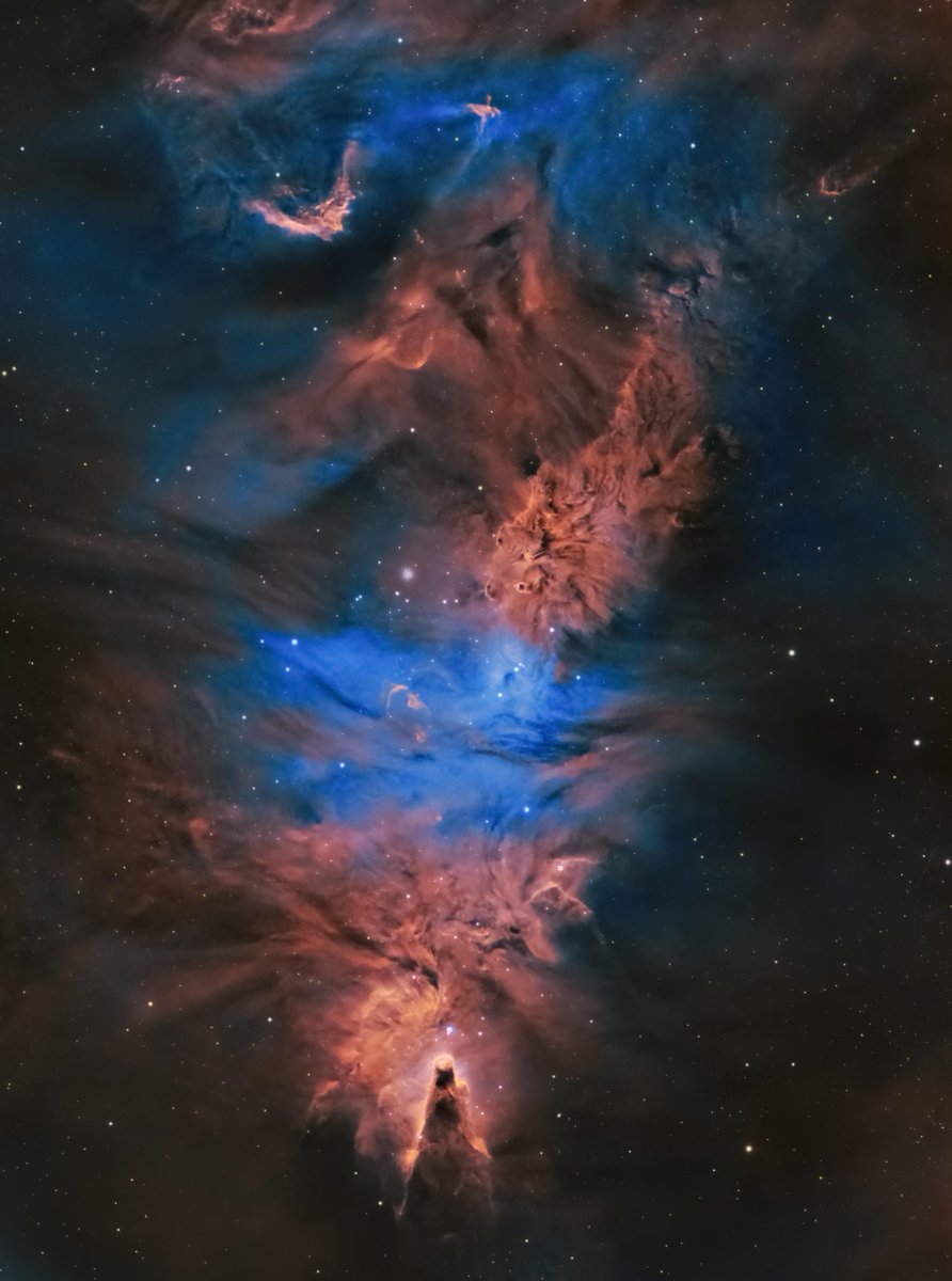 andromeda on Twitter: "RT @AstrophotoRocks: Cone Nebula NGC 2264 [by JattWalker] # ...