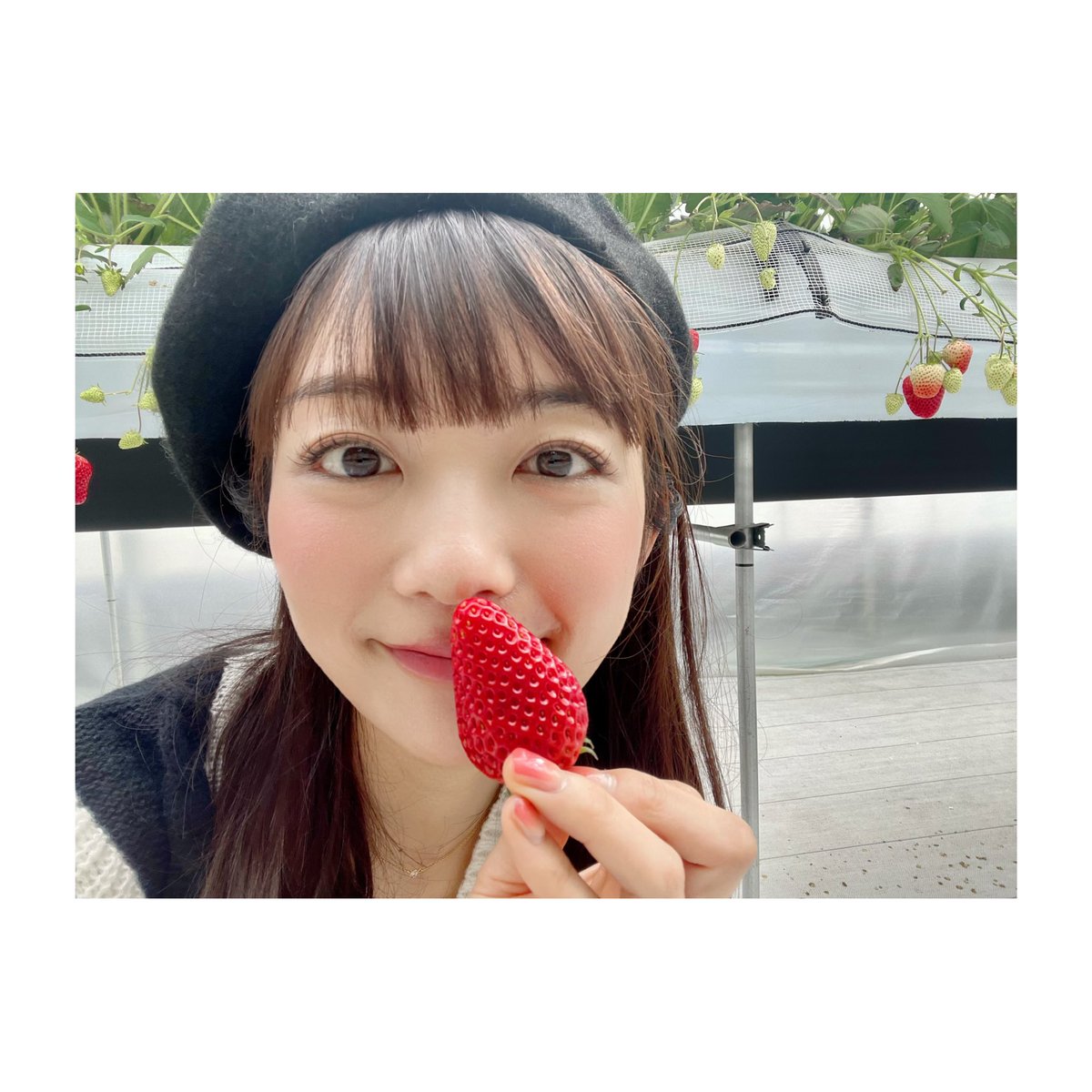 森田涼花 on Twitter: "まもなく21:30から⭐️ https://twitcasting.tv/morita_suzuka/shopcart/224539… 写真はいちご狩り行っ ...