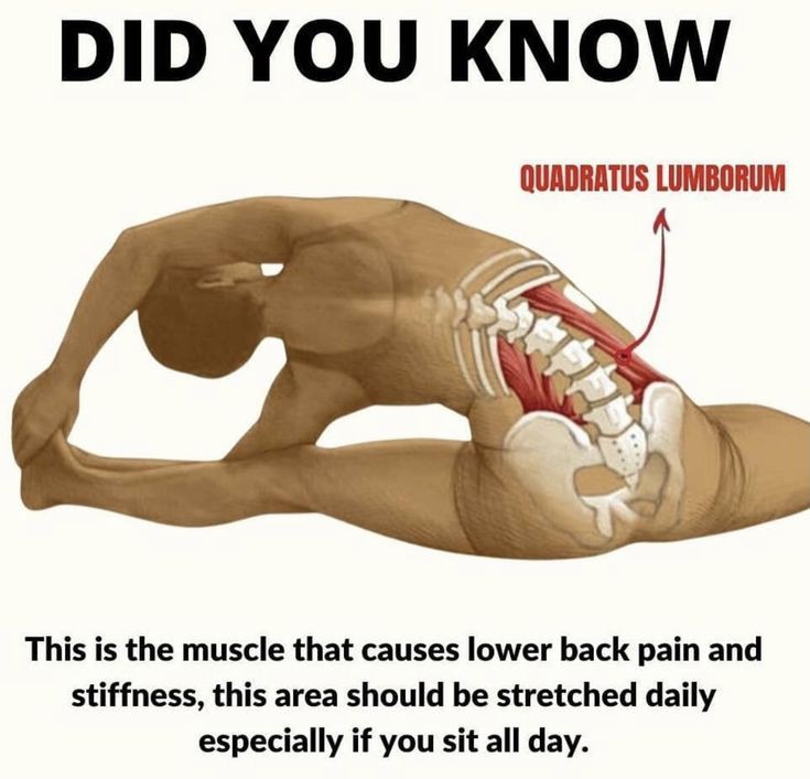 Quadratus Lumborum Release