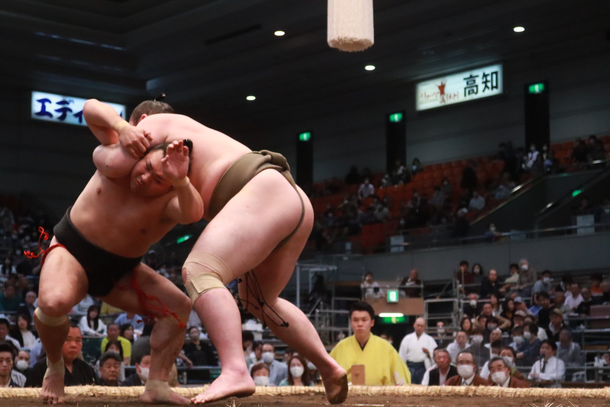 日本相撲協会公式 On Twitter ＜十一日目の様子＞ 幕下取組 照強（2勝4敗）吊り出し 峰刃（1勝5敗） Sumo 相撲