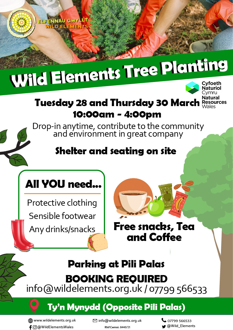 Wild Elements on Twitter: "Come help out the #community 🪴🌳 Come volunteer and help us plant ...