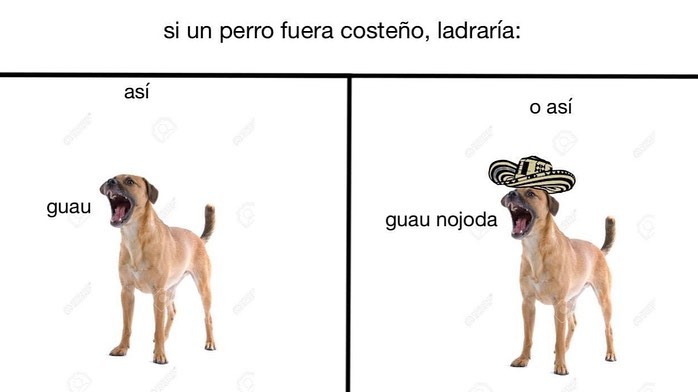 Memes Universidad Nacional On Twitter Jajajajajajajajajajajajaja