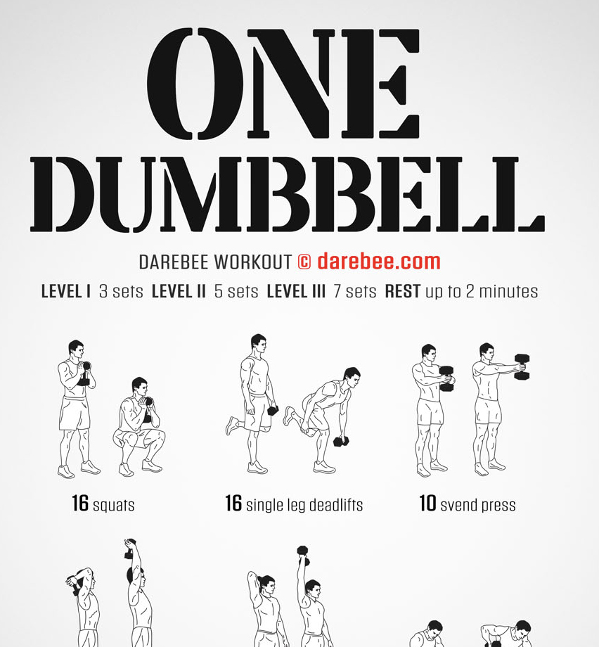 DAREBEE on Twitter: "With just one dumbbell turn the smallest amount of space you have into a ...