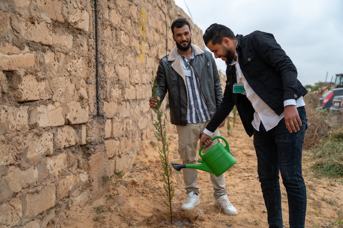 UNICEF Libya on Twitter: "The discussion was followed by a symbolic tree planting in the office ...
