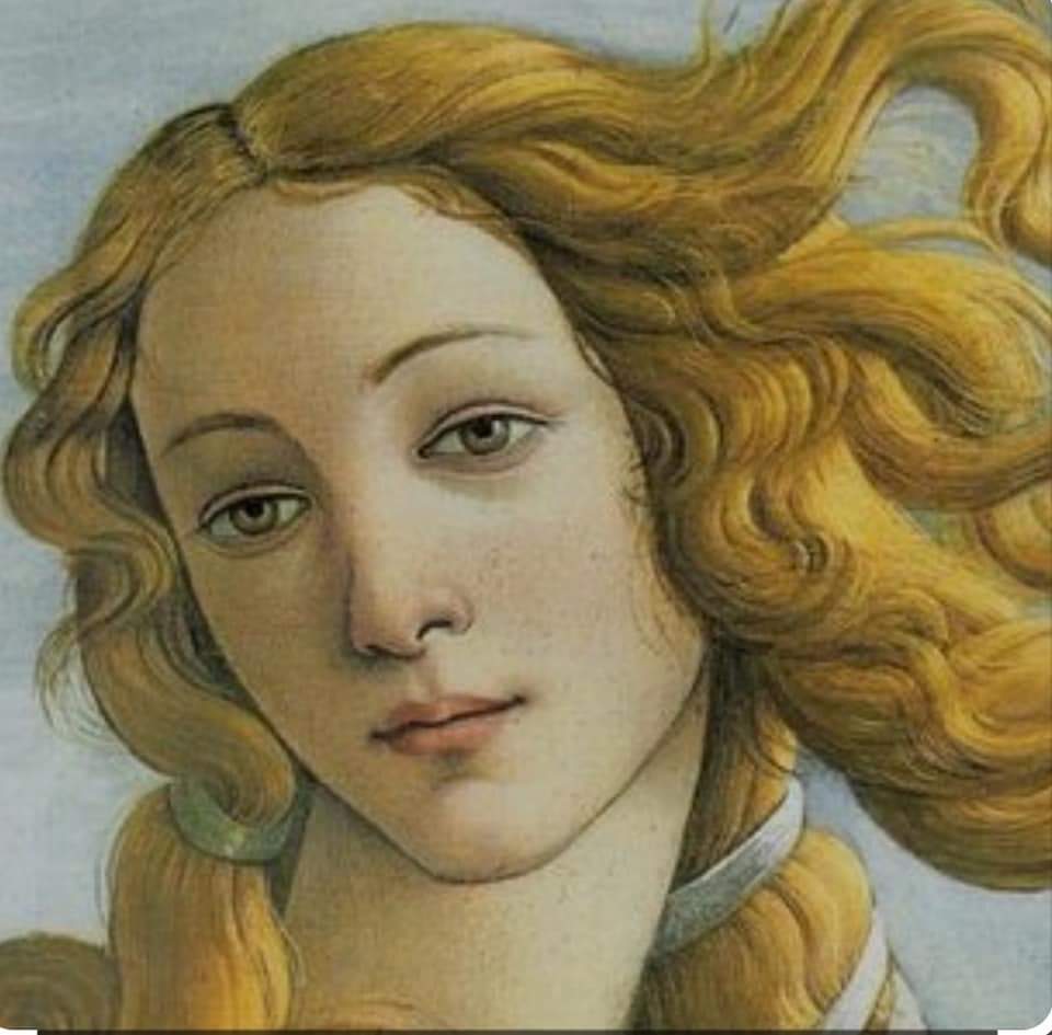 FelipeGamboa. on Twitter: "RT @RamellaUgo: Botticelli. Dett. La nascita di Venere."