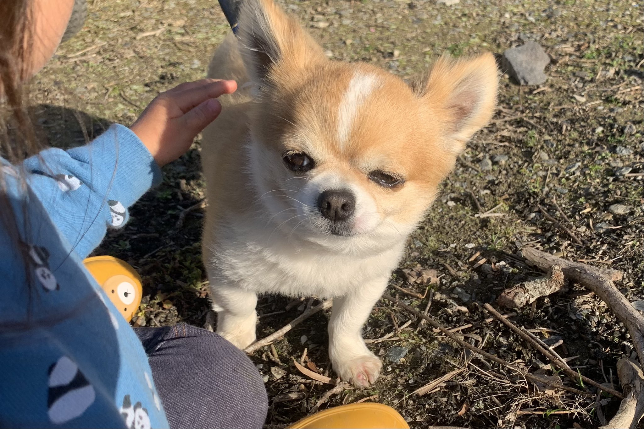 (32) on Twitter: "https://t.co/cBlk1S6ja1" / Twitter