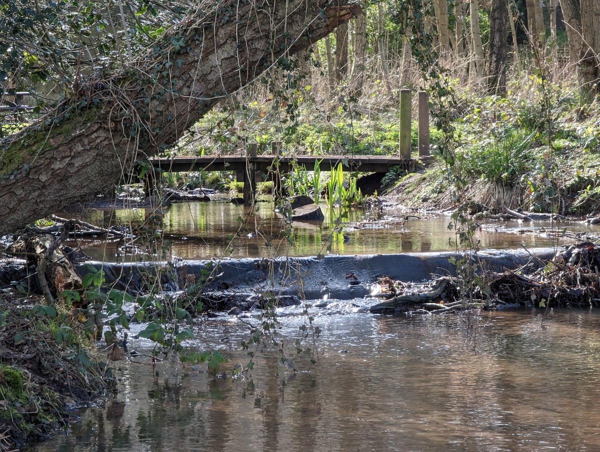 Thread by @zugzwanged on Thread Reader App – Thread Reader App