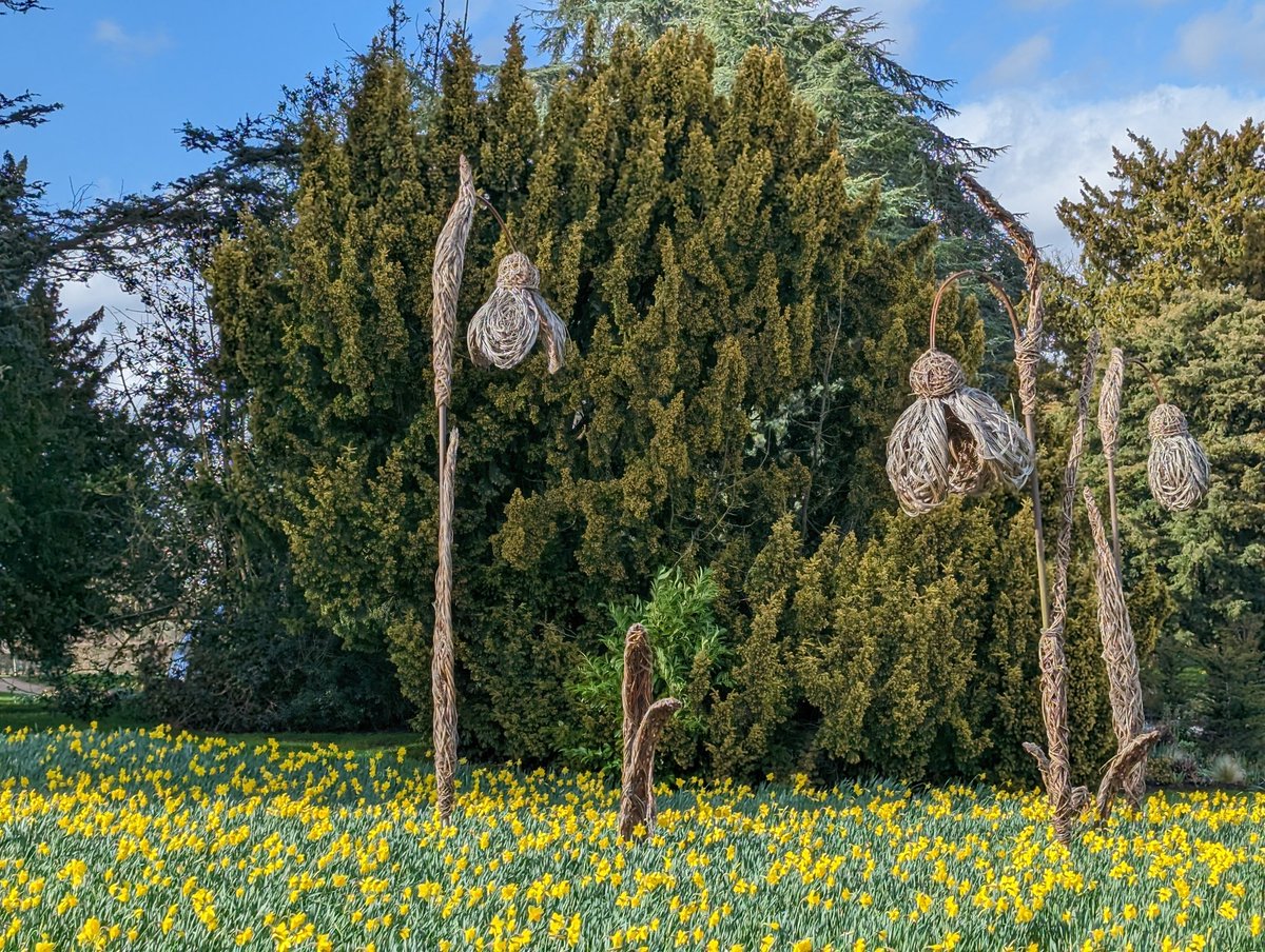 Thread by @zugzwanged on Thread Reader App – Thread Reader App