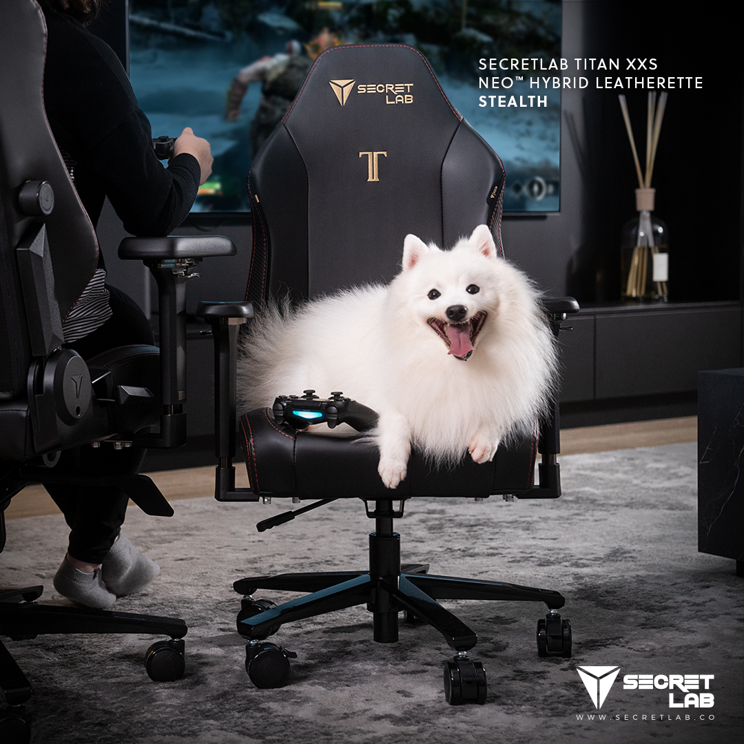 Secretlab on Twitter: "The Secretlab TITAN XXS is perfect for your puppy — hands (and paws) up ...