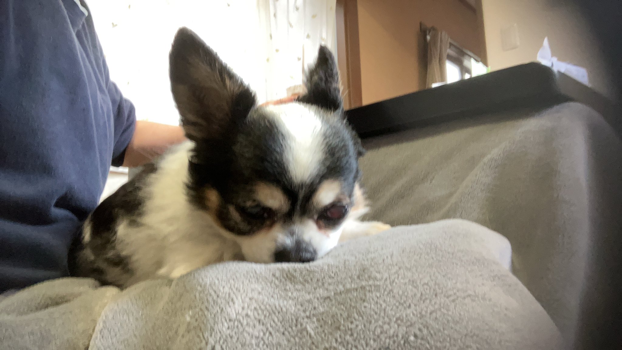 (32) on Twitter: "https://t.co/cBlk1S6ja1" / Twitter