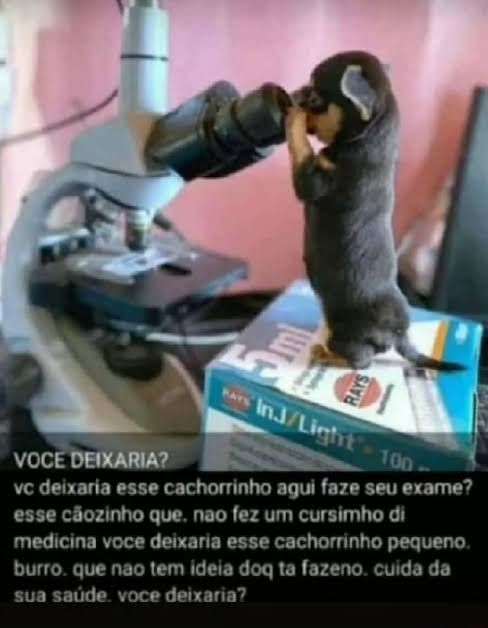 Shitpost só que de verdade on Twitter: "https://t.co/K8OPIfrfD7" / Twitter