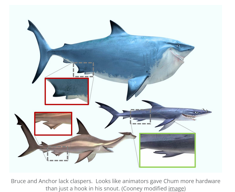 Finding Nemo Bruce Png