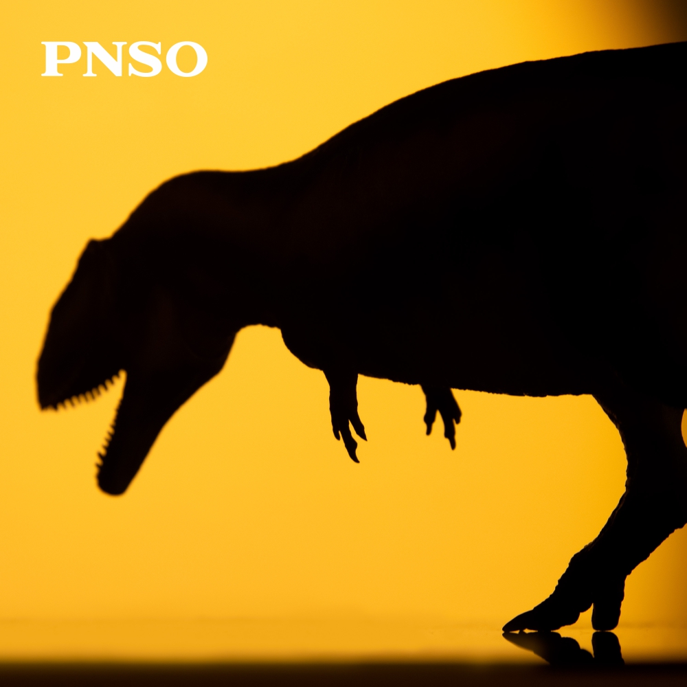 PNSO on Twitter: "New Release | Mila the Mapusaurus from the PNSO Prehistoric Animal Models ...