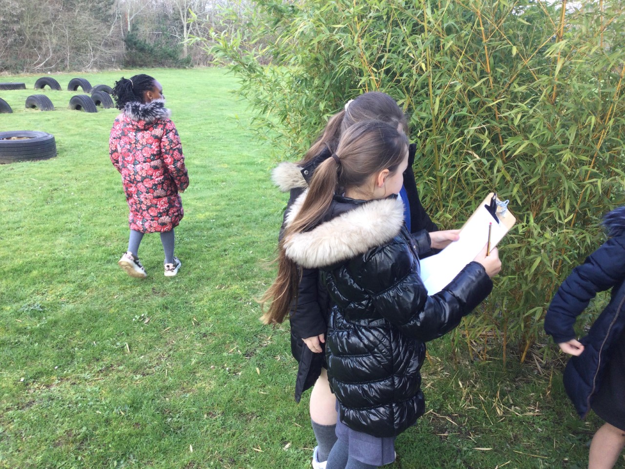 St Paul’s CE Academy (@SPA_DY4) / Twitter