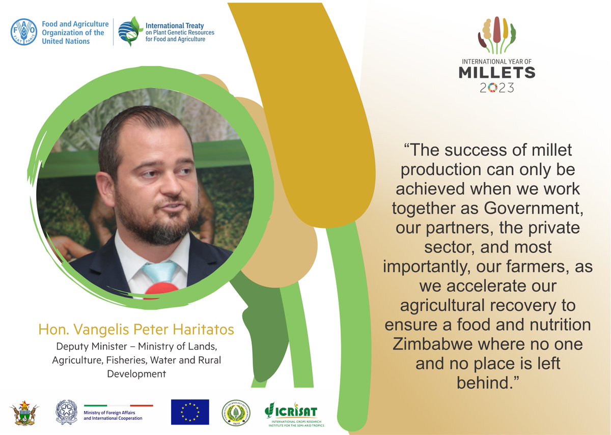 International Year of Millets Celebrations in Zimbabwe. What they ...