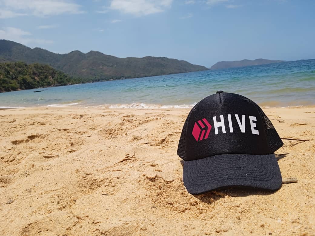 Jon Snow- I ♥♡ Hive on Twitter: "Hive es más que una blockchain. Hive es más que una marca. Hive ...