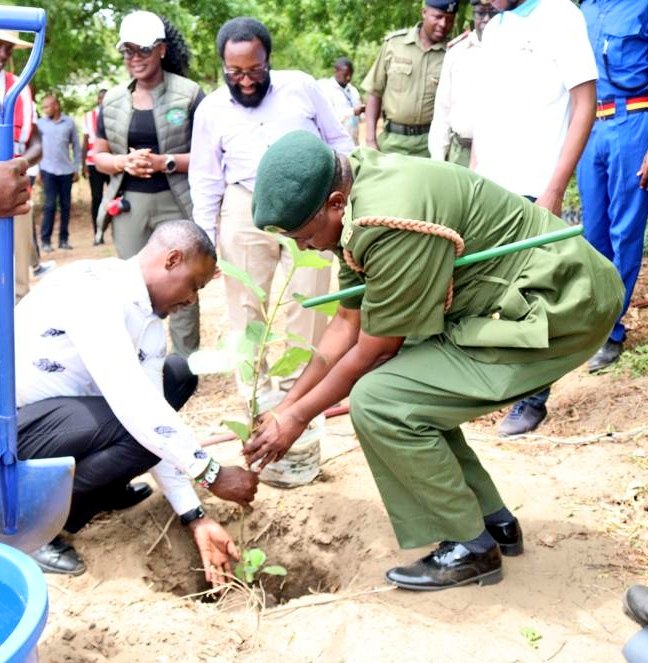 Ministry of Environment, Climate Change & Forestry on Twitter: "#15BillionTrees #Jazamiti # ...