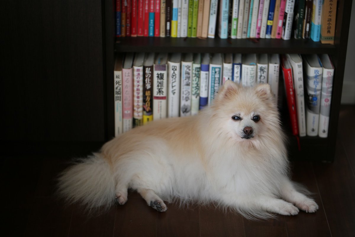 ふんすい(@fun_sui) - Twilog (ツイログ)