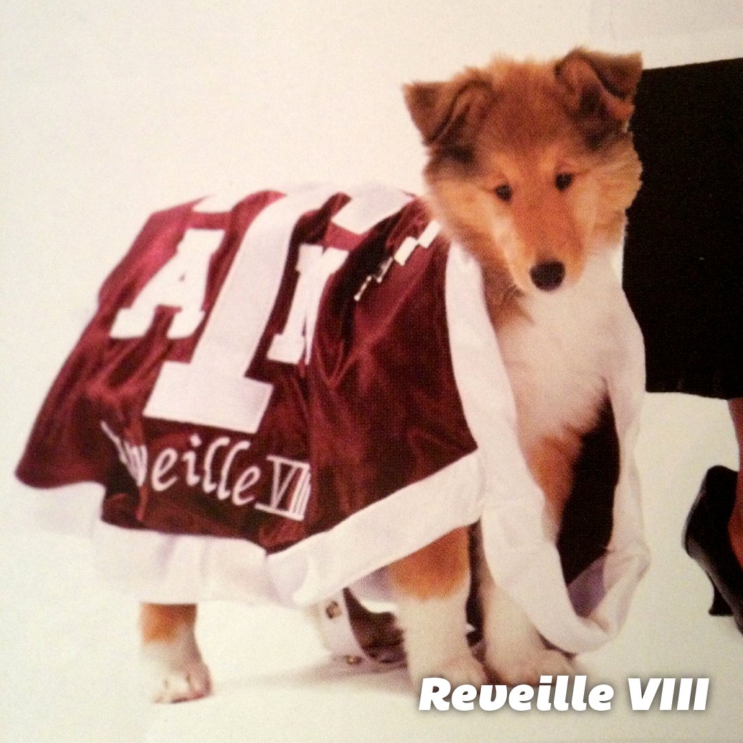 Reveille Viii