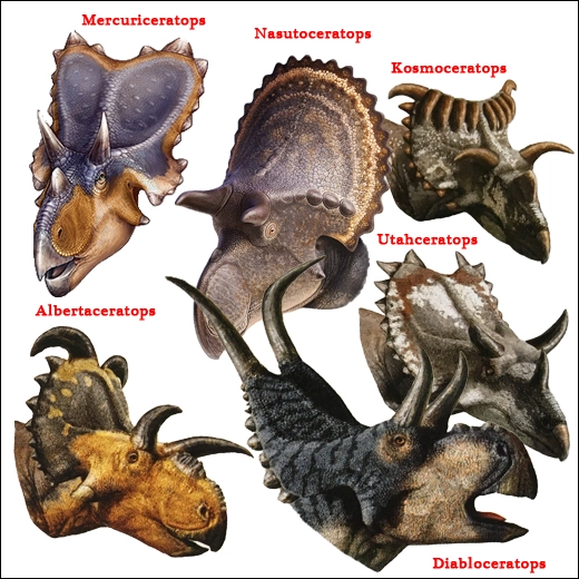 Utahceratops And Kosmoceratops