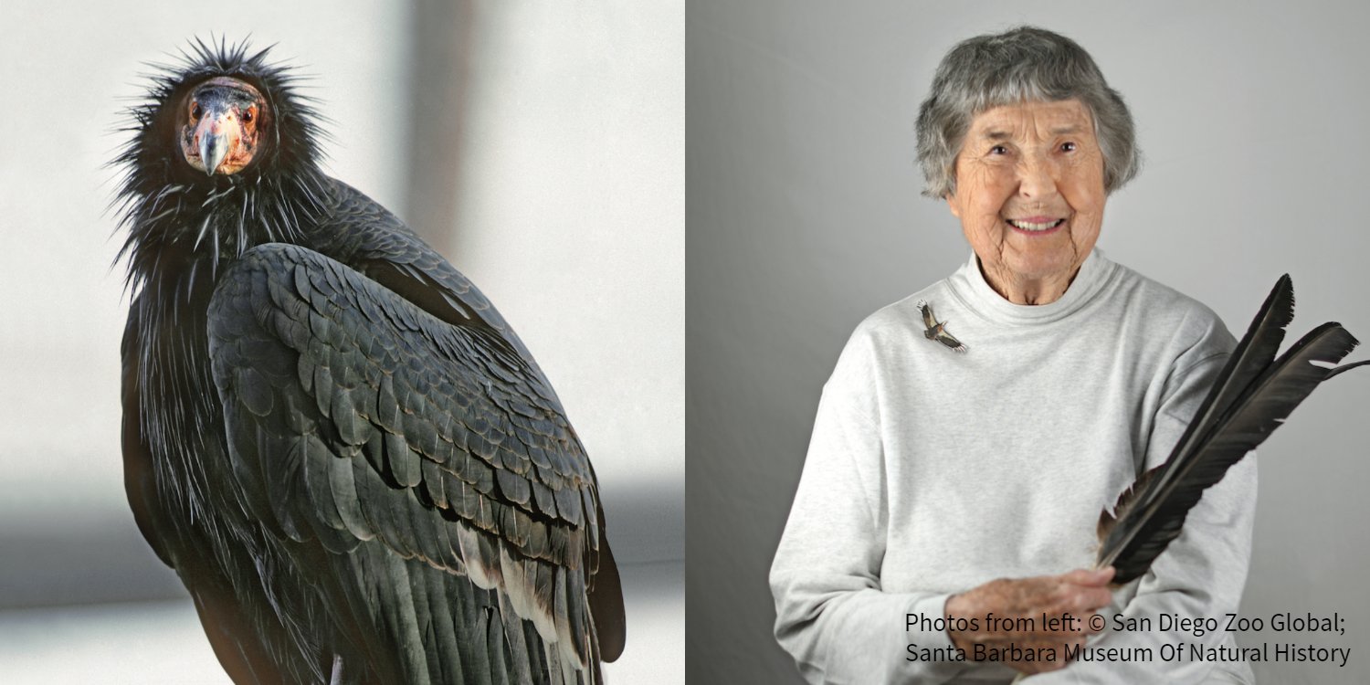 Want a dose of good news? Meet biologist Jan Hamber. She defied the ...