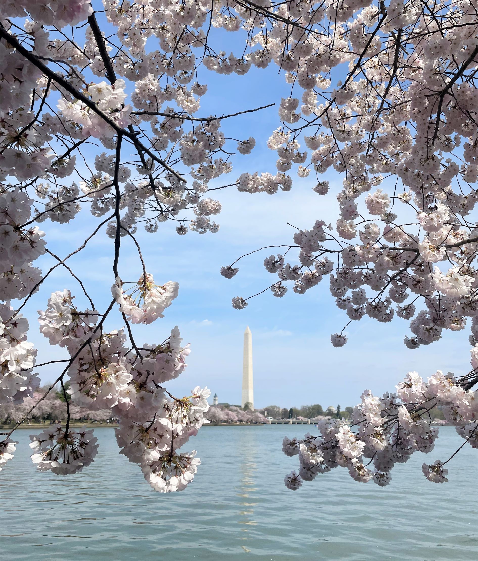 Elaine Reyes (@ElaineReyesTV) / Twitter