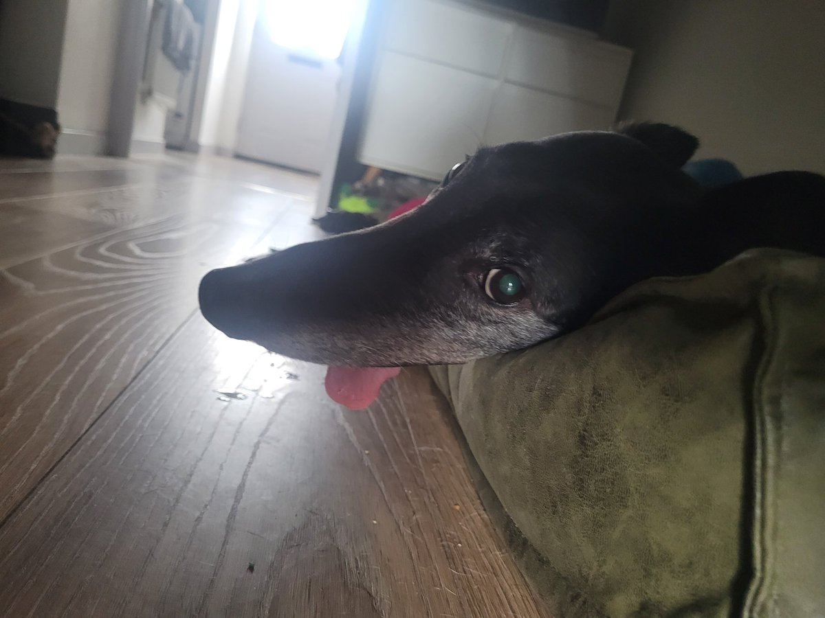 Lofty on Twitter: "yea ? waht is yuor proplem