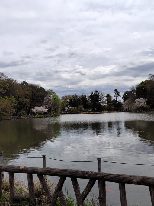 古書 西荻モンガ堂(@monga_book) - Twilog